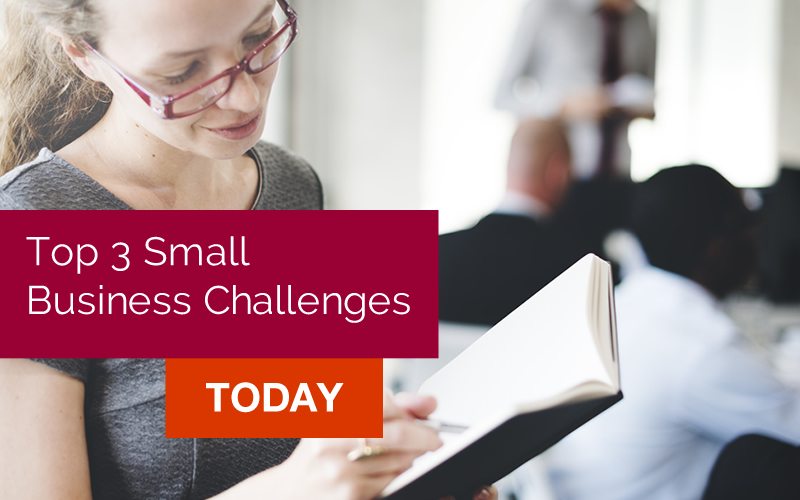 Top 3 small business challenges today? – Sky Vista Consulting